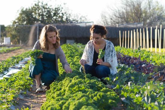 What is the R'Garden? | R'Garden